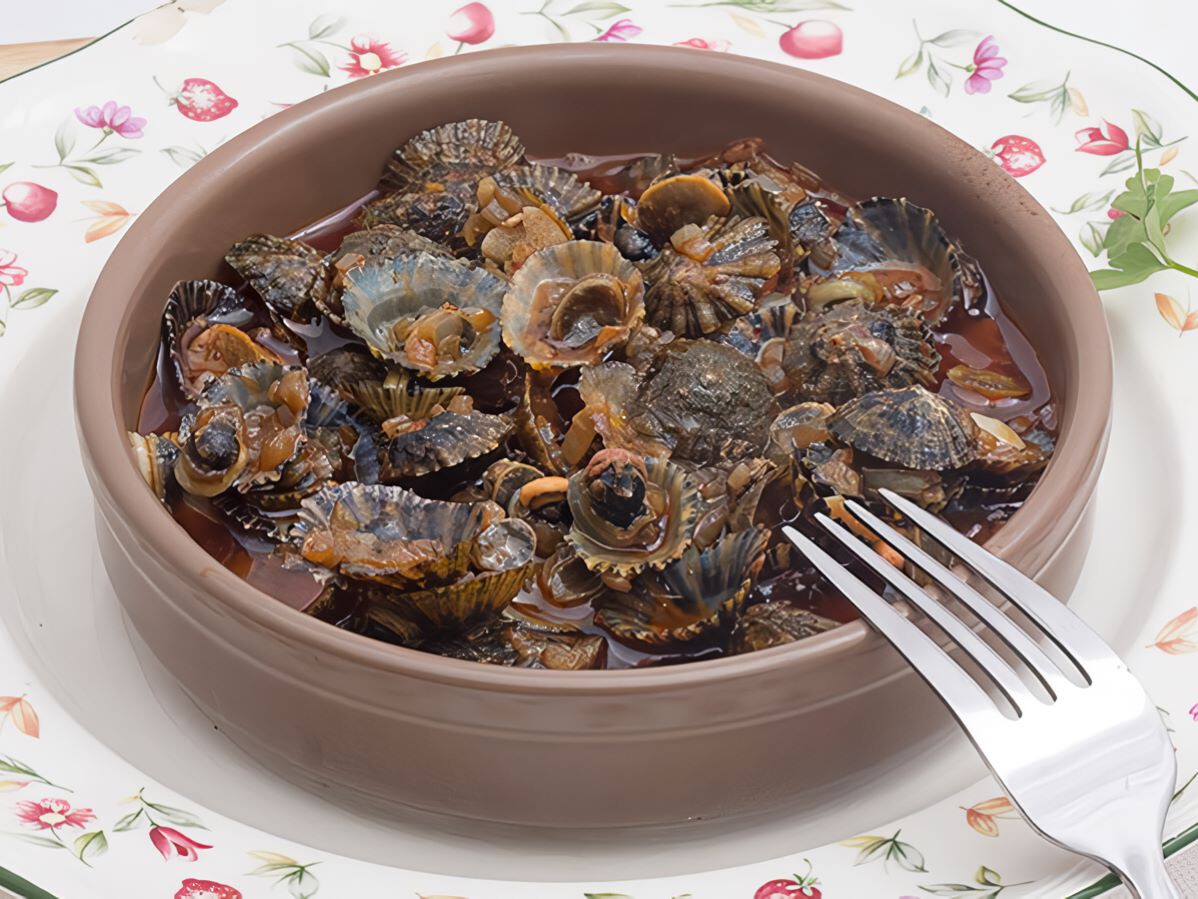 Qué es la llámpara o lapa, un molusco muy común en nuestras costas pero ...