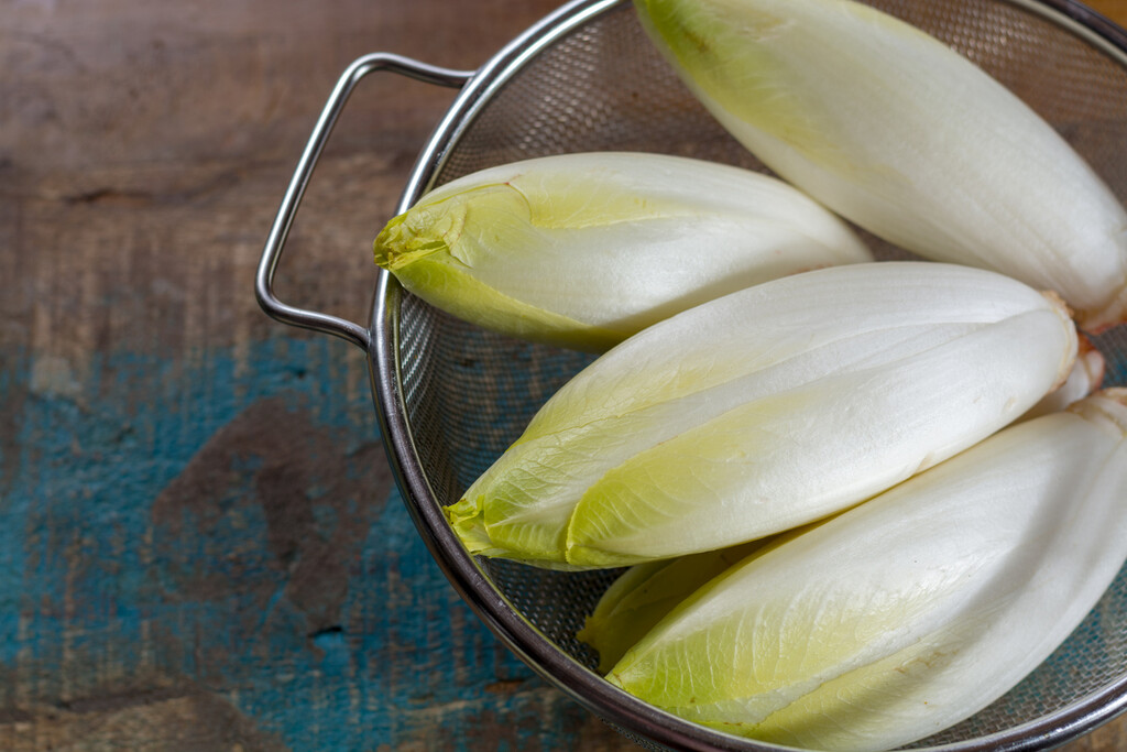 Endivia de temporada, un lujo accesible y sabroso: qué es, cómo ...