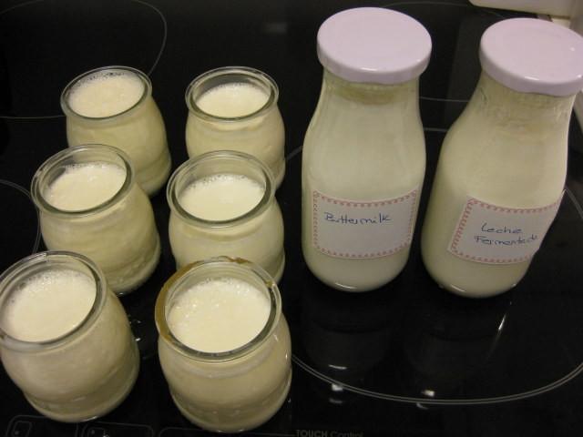 El jocoque, ¿Mexicano o árabe?