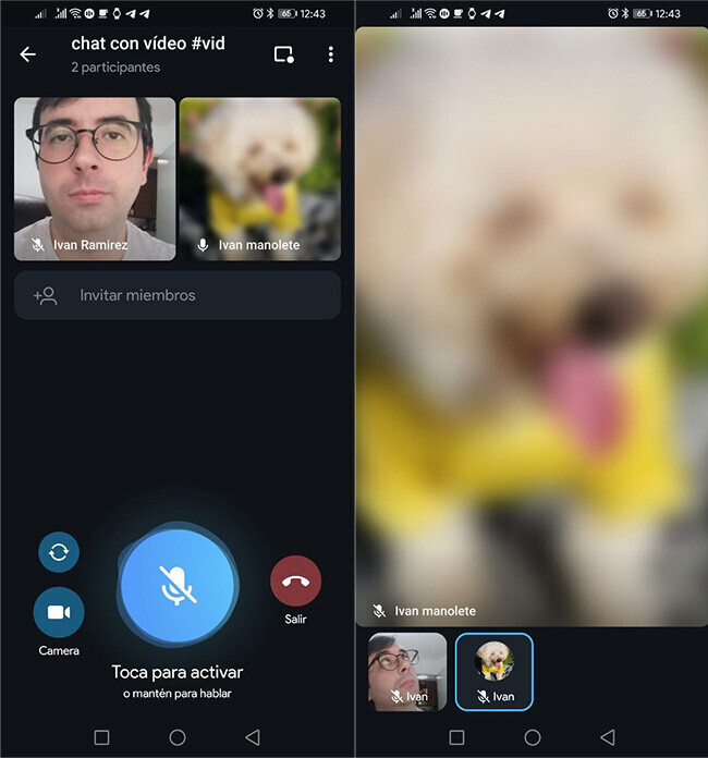 Todas las versiones de Telegram que existen hoy en día