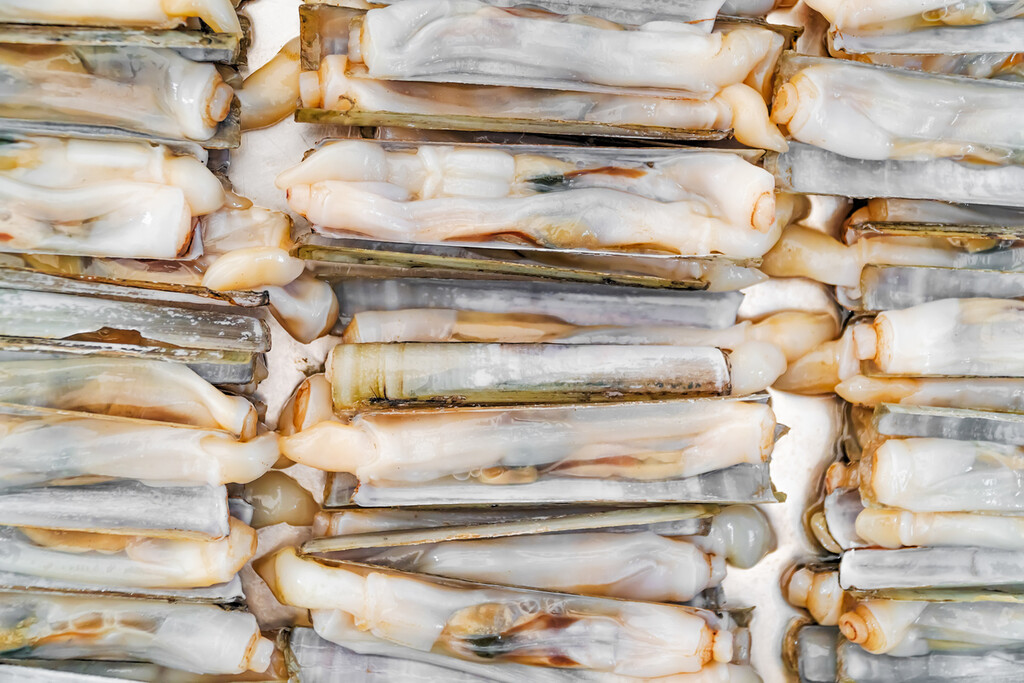Navajas: uso, propiedades y recetas de este marisco que se consume todo ...