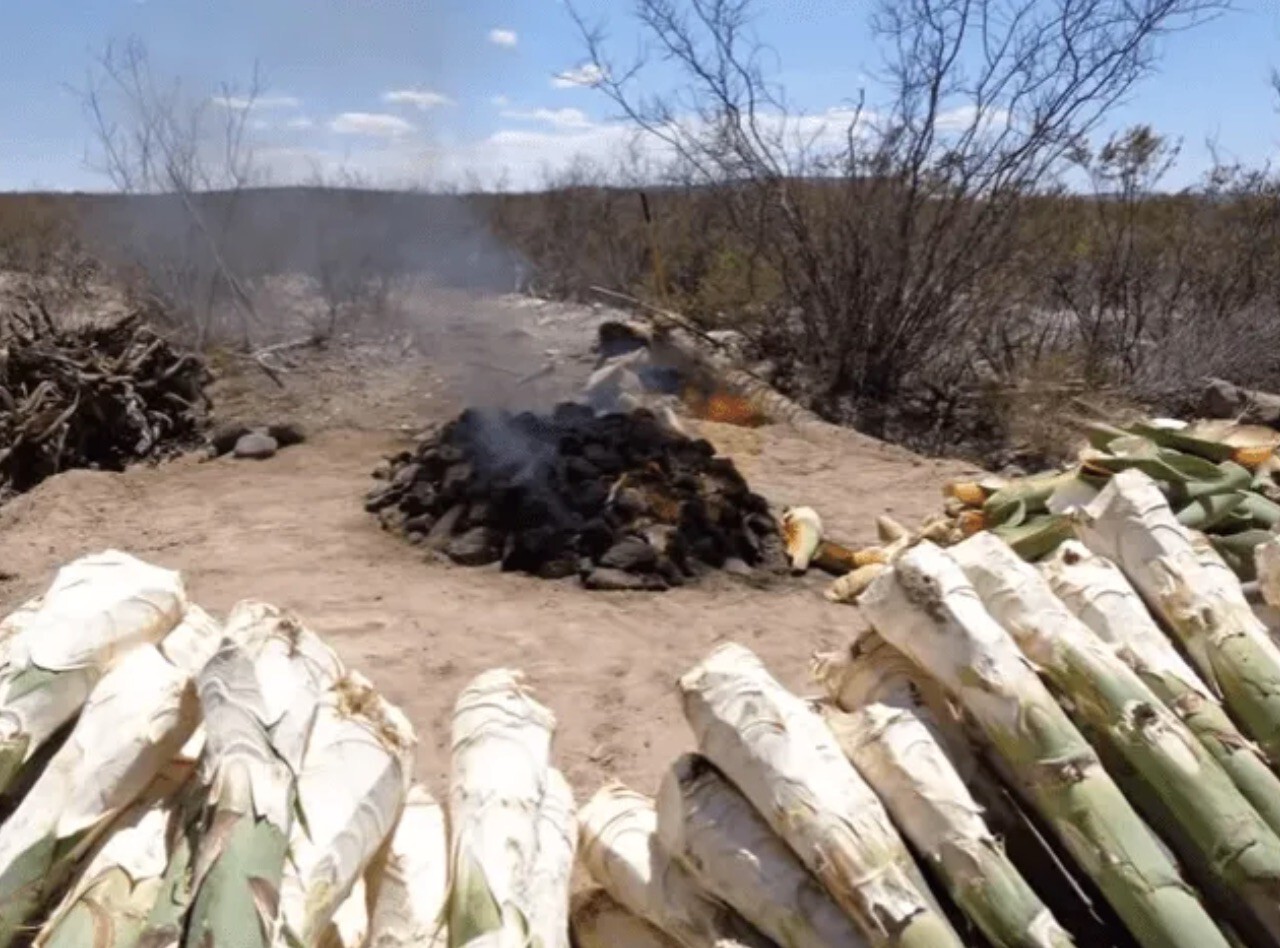 Qué es el quiote, dulce tradicional que forma parte importante del ...