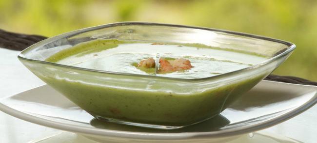 La chaya. Conoce, cultiva, consume.