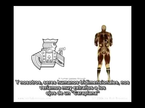 ¿Cómo podemos imaginar 11 dimensiones?