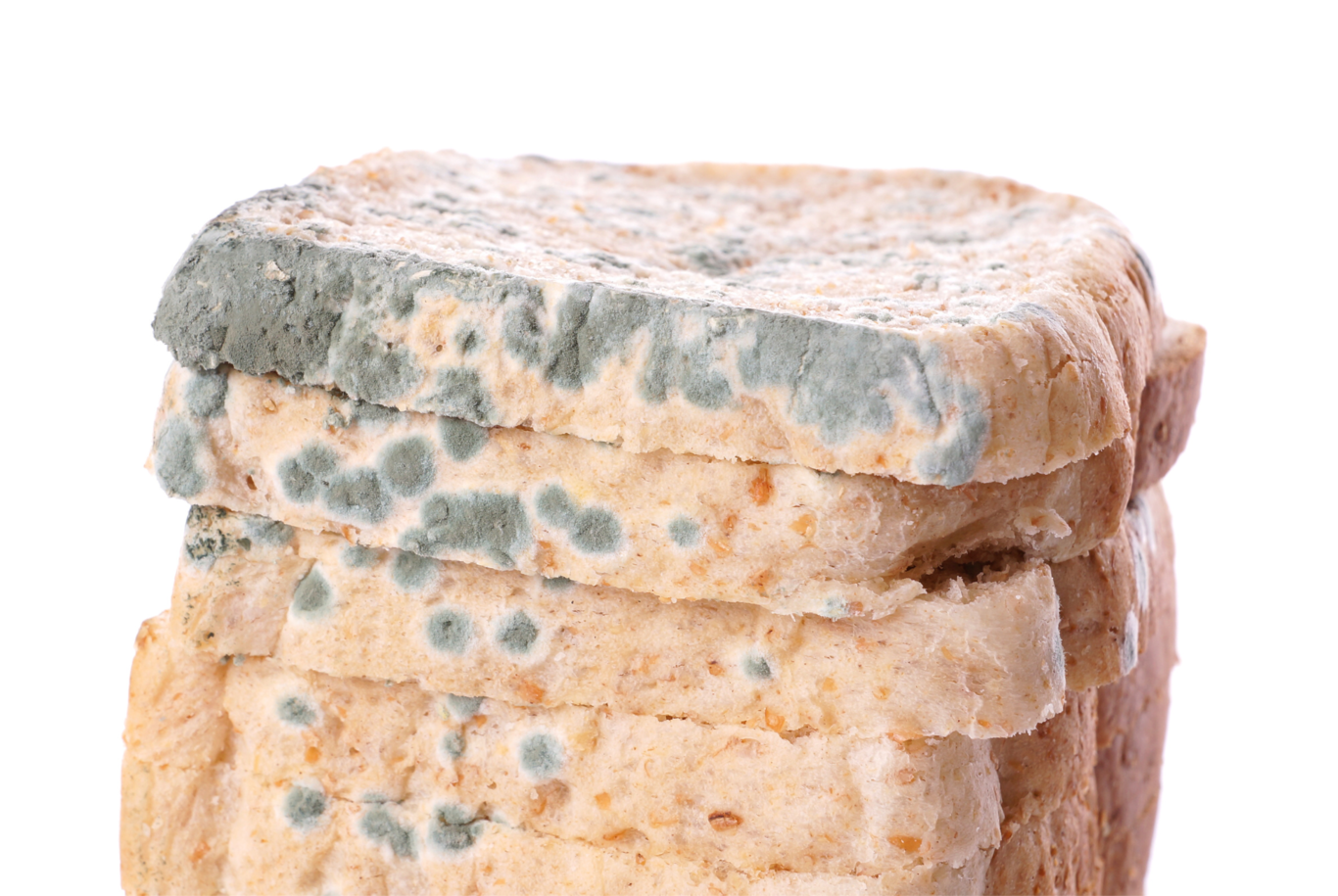 Este es el enemigo invisible en los alimentos que tienen moho