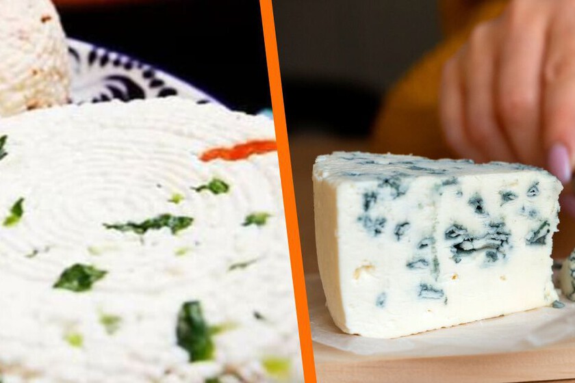 Cómo hacer queso botanero con jalapeño: impresiona a tus invitados con ...