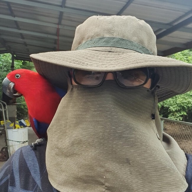 Quién es Chi, el excompañero de Frank Cuesta que ha dado pie a sus ...