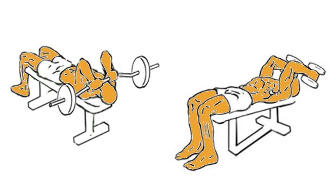 Guía para principiantes (III): Press francés en banco plano