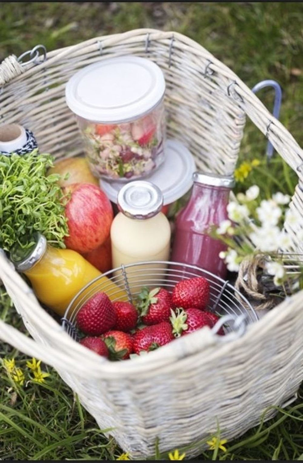 ¿Hacemos un picnic? 7 ideas para el picnic perfecto