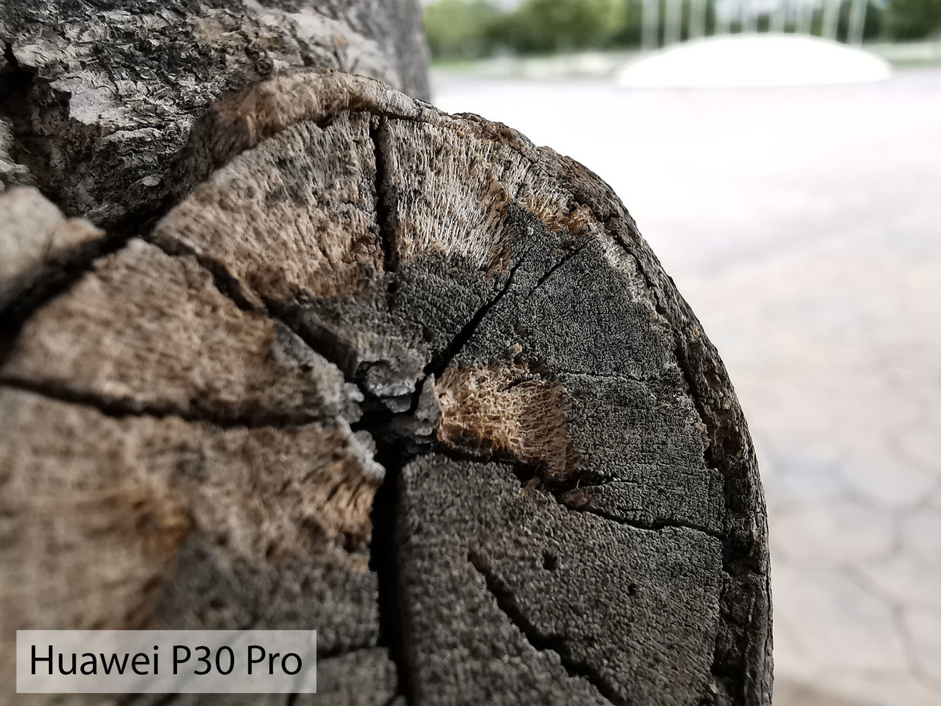 Comparativa fotográfica de estilo macro: enfrentamos los mejores ...