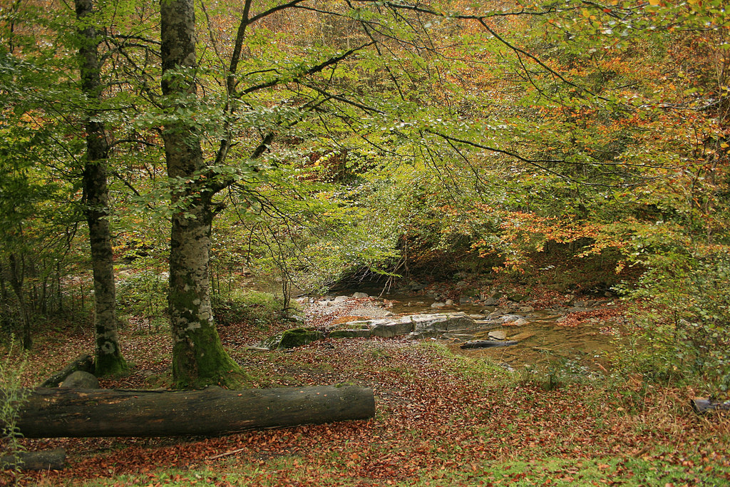 Bienvenido otoño: los 11 paisajes de campiña más relajantes del planeta
