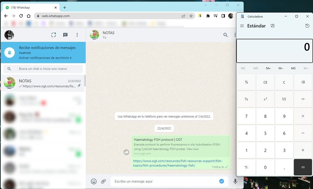 WhatsApp Web: cómo usarlo y trucos para aprovecharlo al máximo