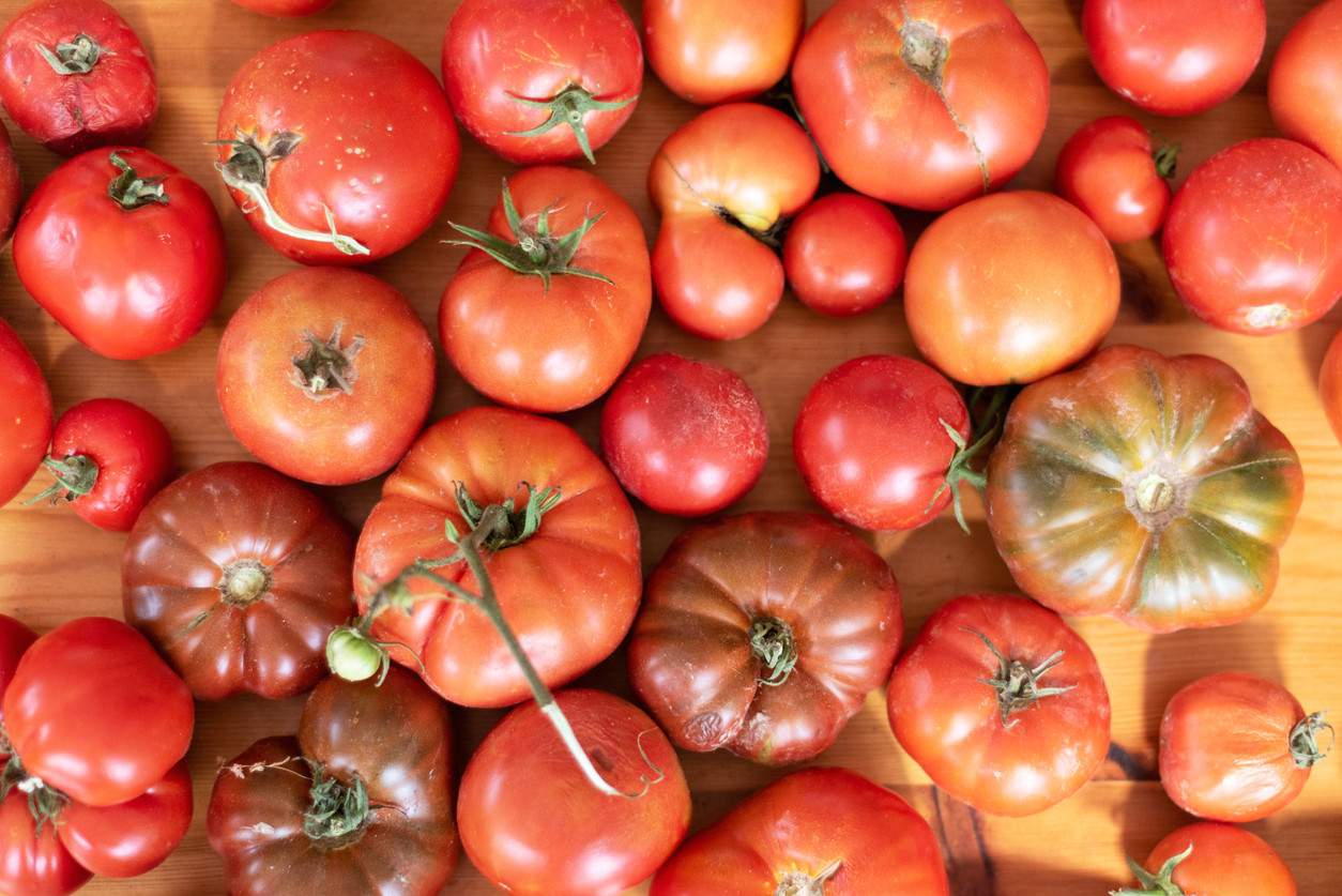 Tomate: todo lo que necesitas saber para sacar partido a este producto ...