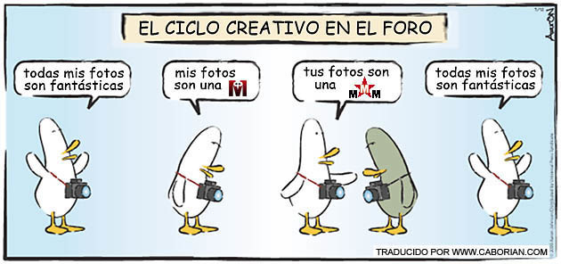 What the Duck: Los 10 mejores momentos del humor fotográfico de Aaron ...