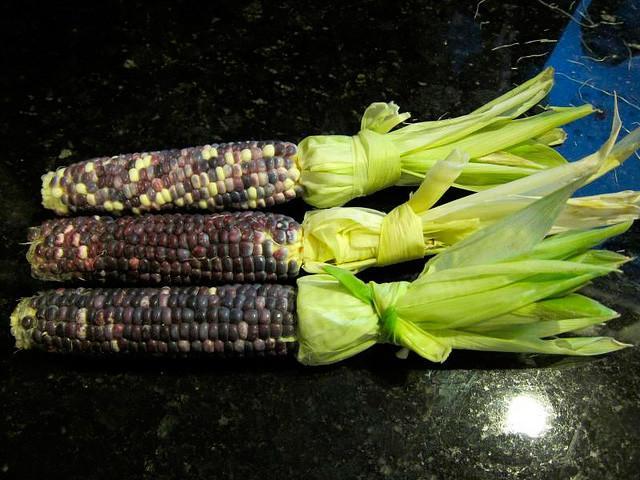 El maíz azul, sus propiedades nutricionales y sus antioxidantes