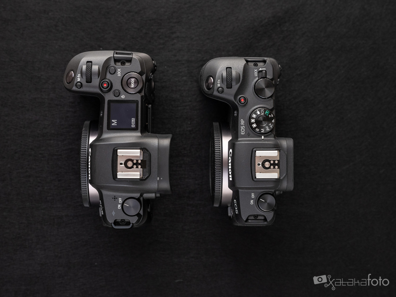 Canon EOS RP, análisis. Review con características, muestras y valoraciones