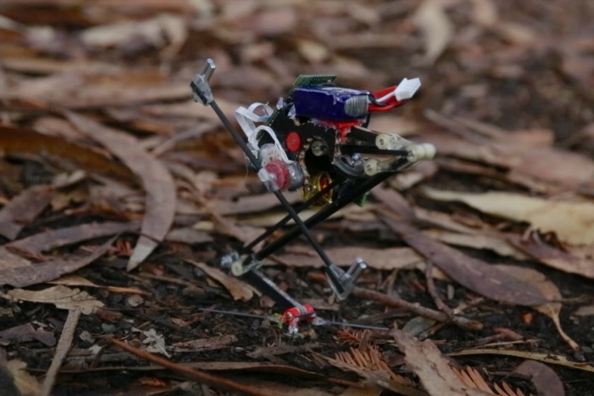 Este pequeño robot hace parkour con saltos verticales de más de un ...