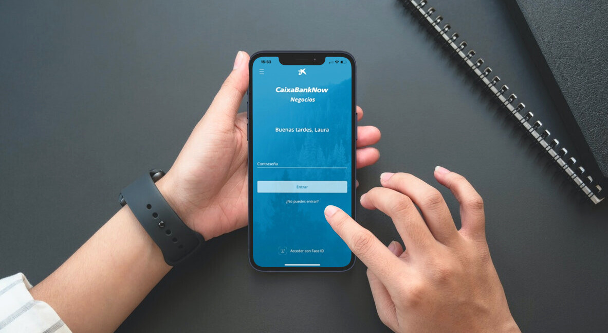 Fusión de Bankia con CaixaBank: qué cambia, cómo acceder online a tu ...