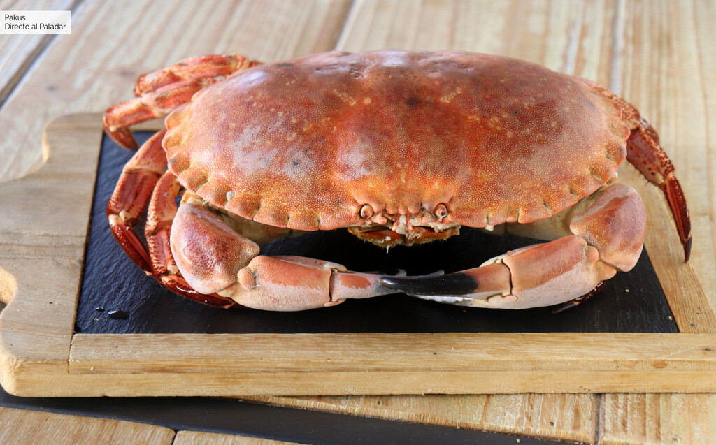 Cómo cocer el buey de mar en casa. Receta de marisco sencilla y fácil ...
