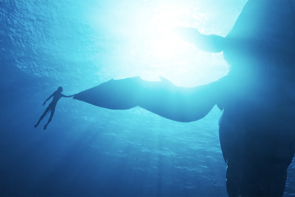 Avatar: El sentido del agua (2022) crítica: James Cameron evoca la ...