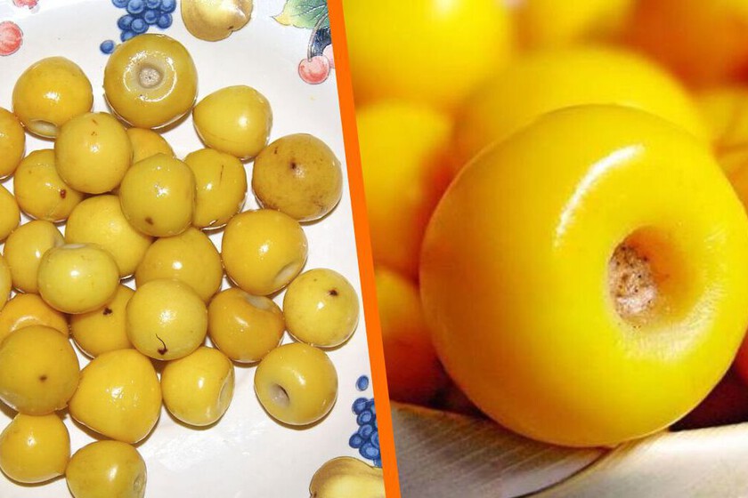 Qué son los nanches: la fruta de las costas de México, que también ...