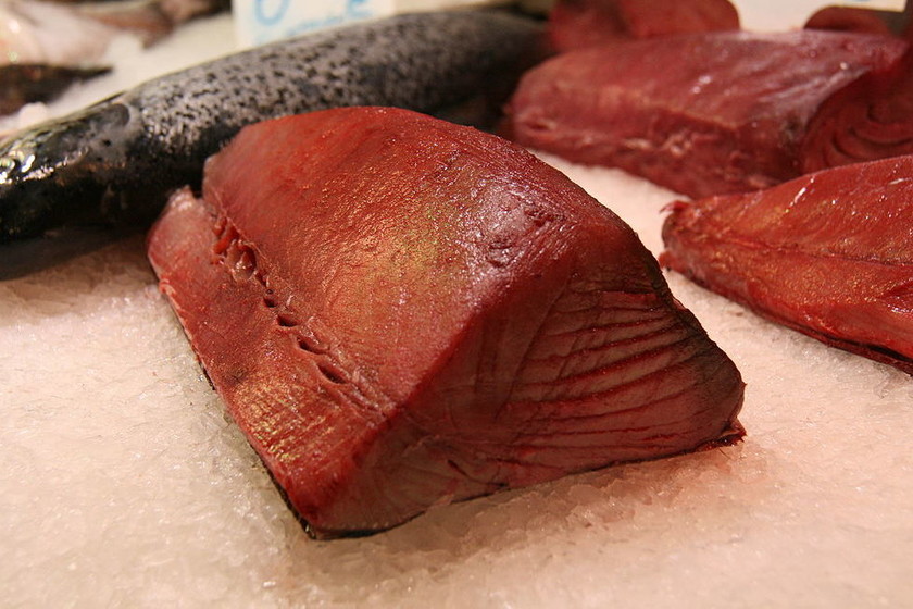 Bonito y atún: ¿en qué se diferencian?