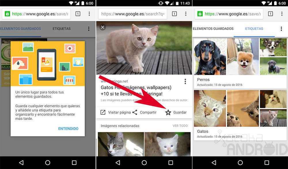 Cómo guardar y organizar tus fotos favoritas con Google Imágenes