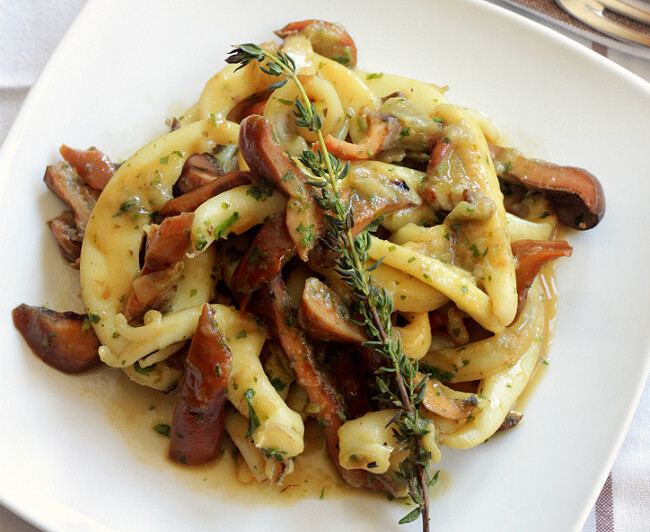 Níscalos o robellones: cómo seleccionar esta seta otoñal, propiedades ...