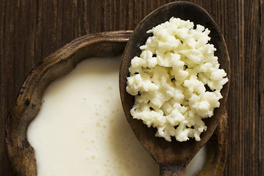 9 consejos para tener ‘búlgaros’ en casa y mantenerlos frescos y sanos