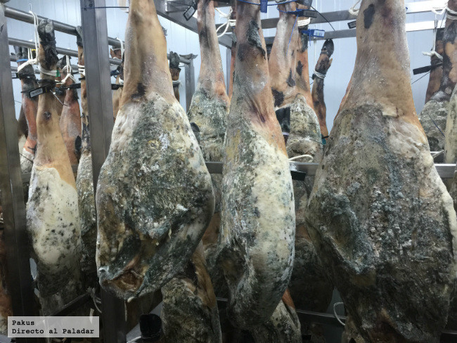 ¿Cómo se produce un jamón ibérico? De la dehesa a la comercialización