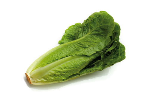 7 tipos de lechugas y cómo usarlas para preparar ensaladas deliciosas y ...