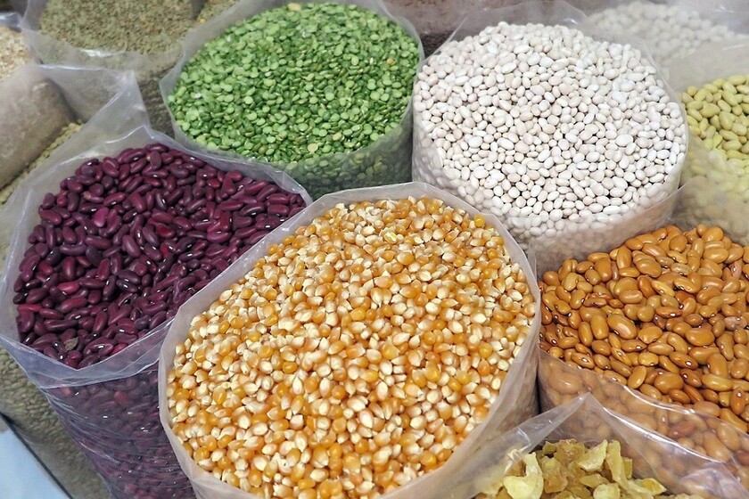 Semillas en Mexico Como una semilla nativa da estabilidad a la alimentacion