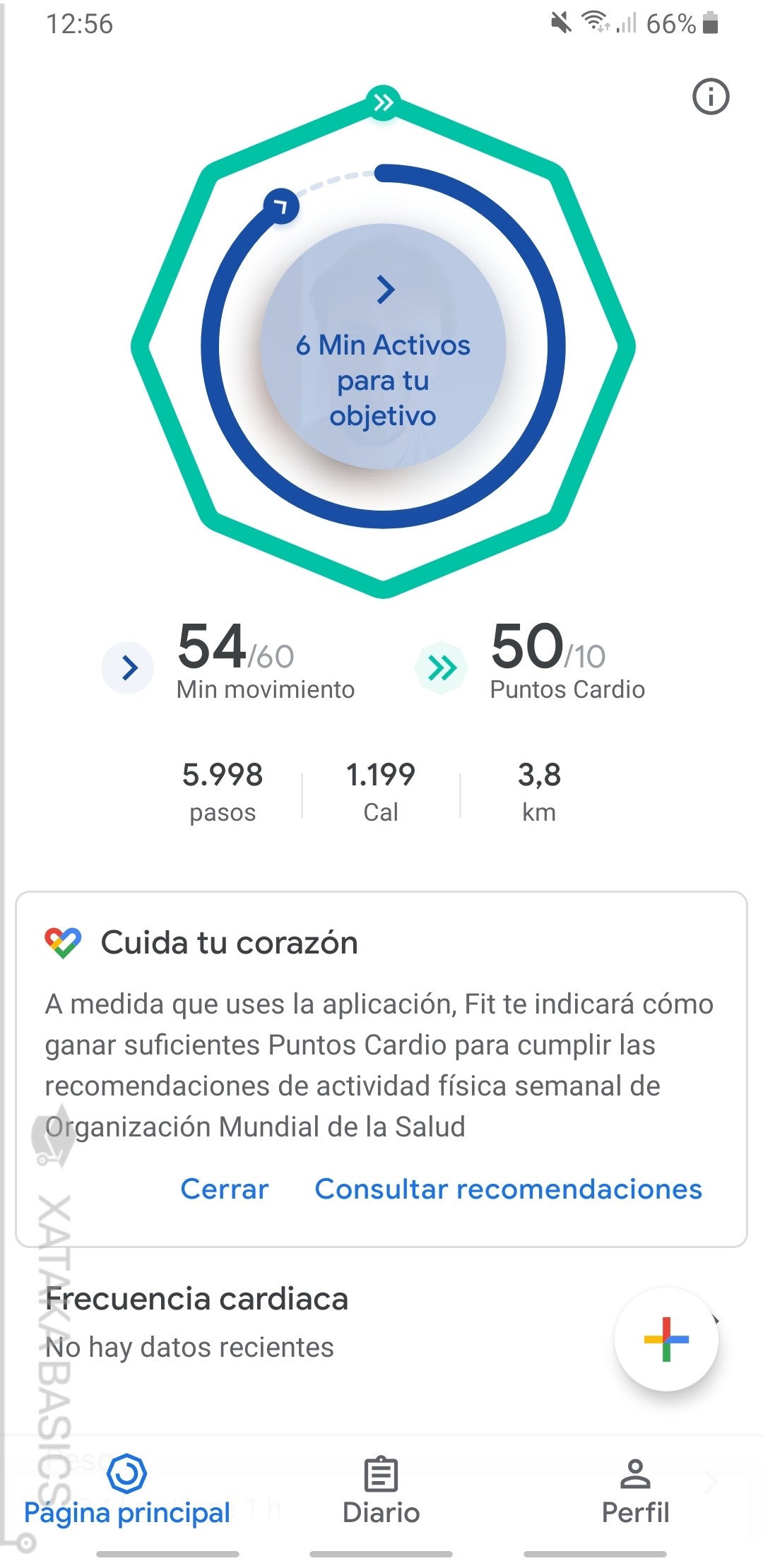 Google Fit: qué es, cómo funciona y cómo configurarlo