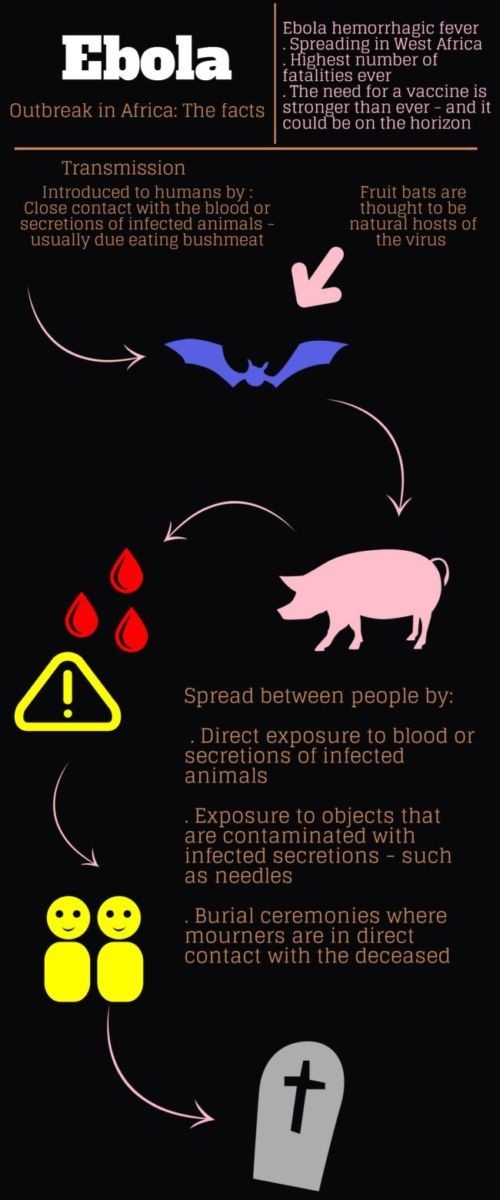 Todo lo que necesitas saber sobre el ébola y su contagio en 10 puntos