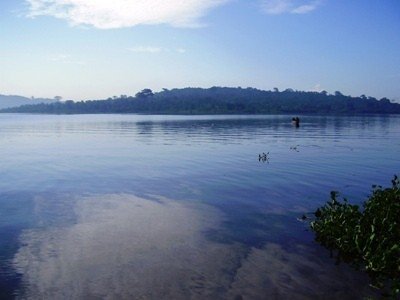 El Lago Victoria también está en peligro