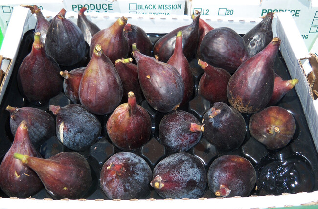 Llega la temporada de brevas: qué son, en qué se diferencian de los ...