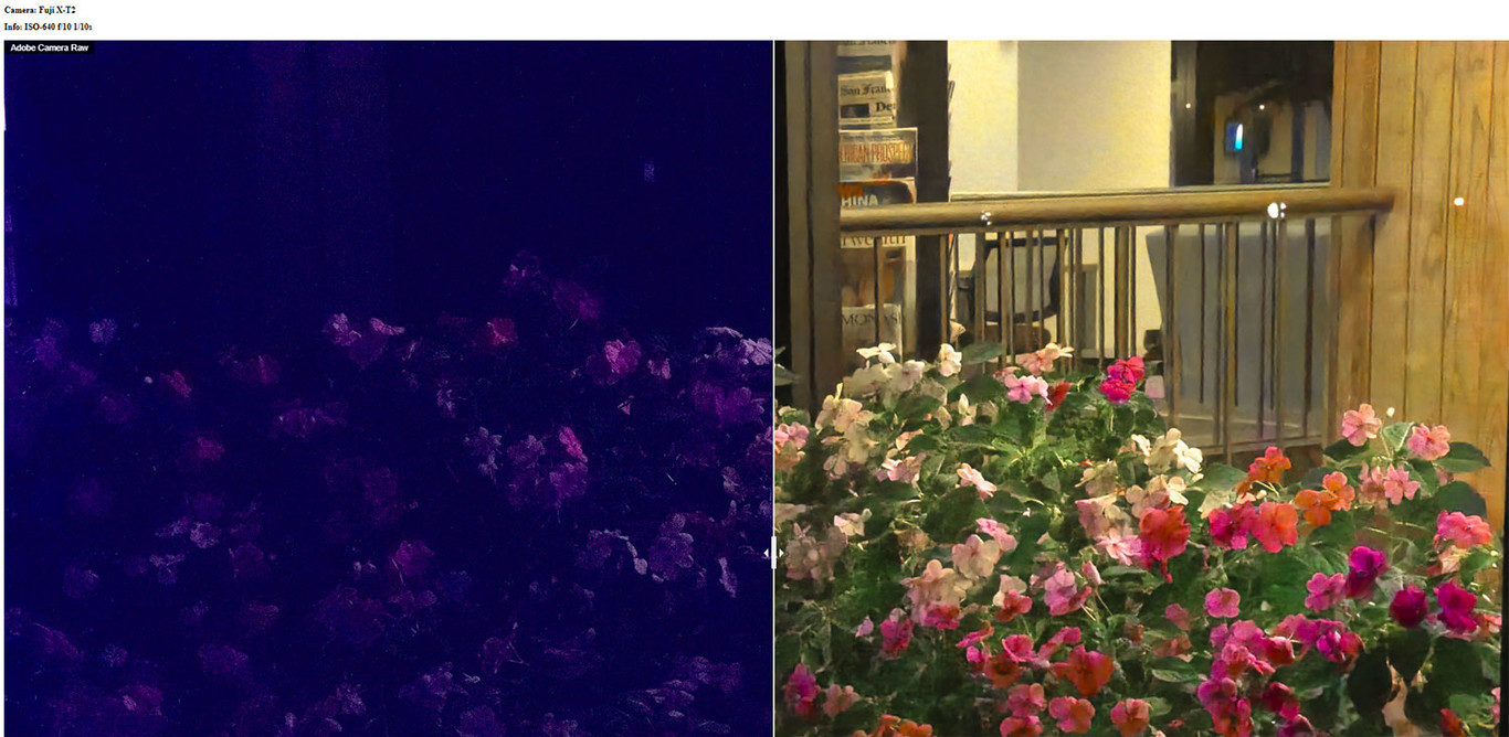 Inteligencia Artificial que elimina el ruido de la imagen