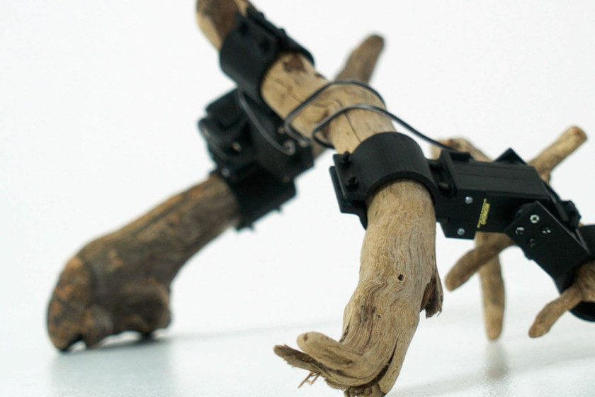 Científicos japoneses crean un robot hecho con ramas de árbol y capaz ...