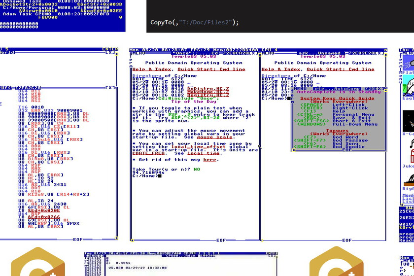 TempleOS: una rareza de sistema operativo, tan denostado como ...