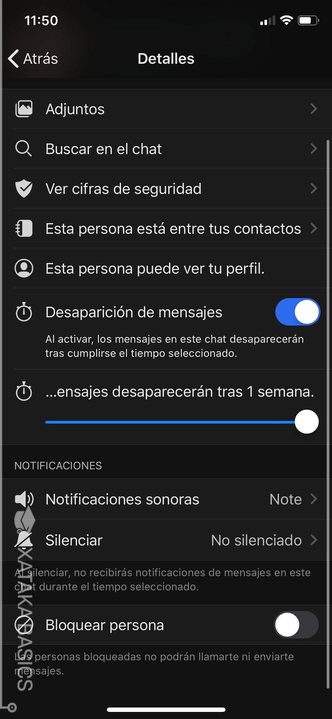 Signal: qué es, cómo funciona y qué opciones ofrece
