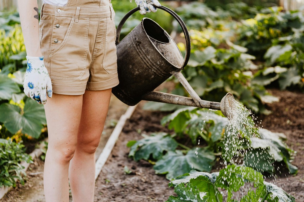 Cómo regar tu jardín de forma más eficiente en verano: ahorra agua y ...