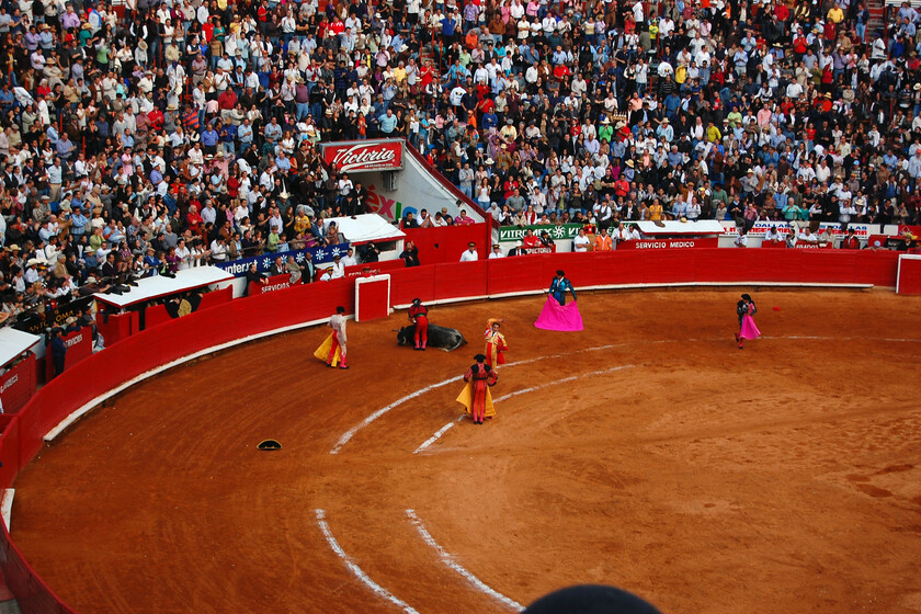 Ciudad de México ha prohibido las corridas de toros. La situación en ...