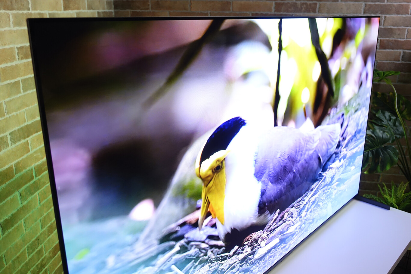 Sony BRAVIA XR OLED A95L, análisis: review con características, precio y especificaciones