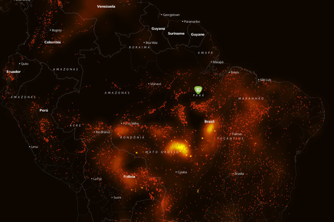 El impacto medioambiental de los incendios del Amazonas, explicado en ...