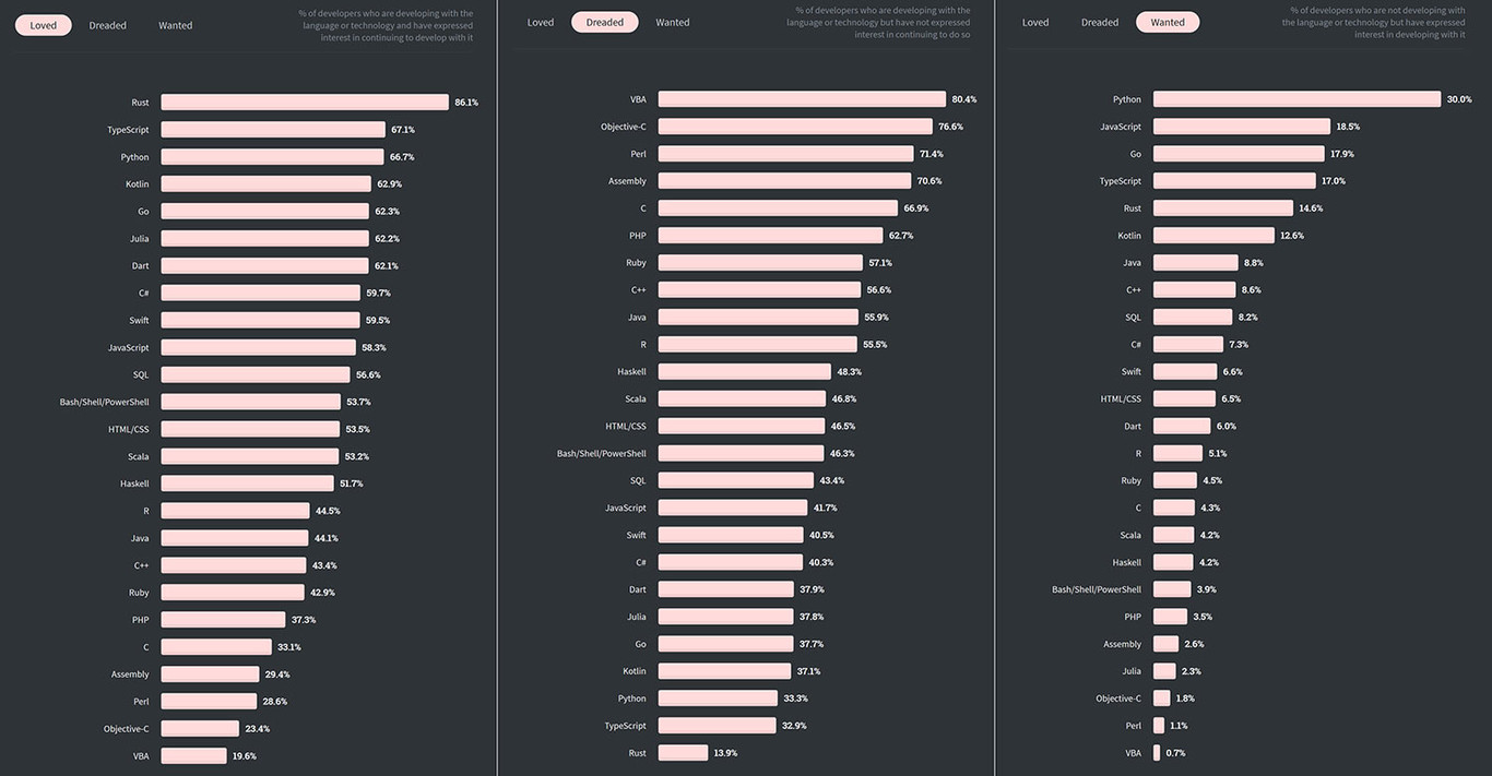 Los programadores siguen amando Rust, odian WordPress y Slack y se ...