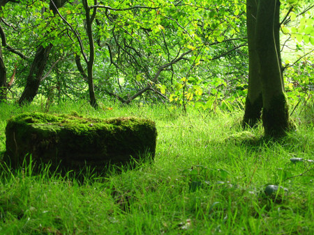 Un nuevo color: verde Yorkshire