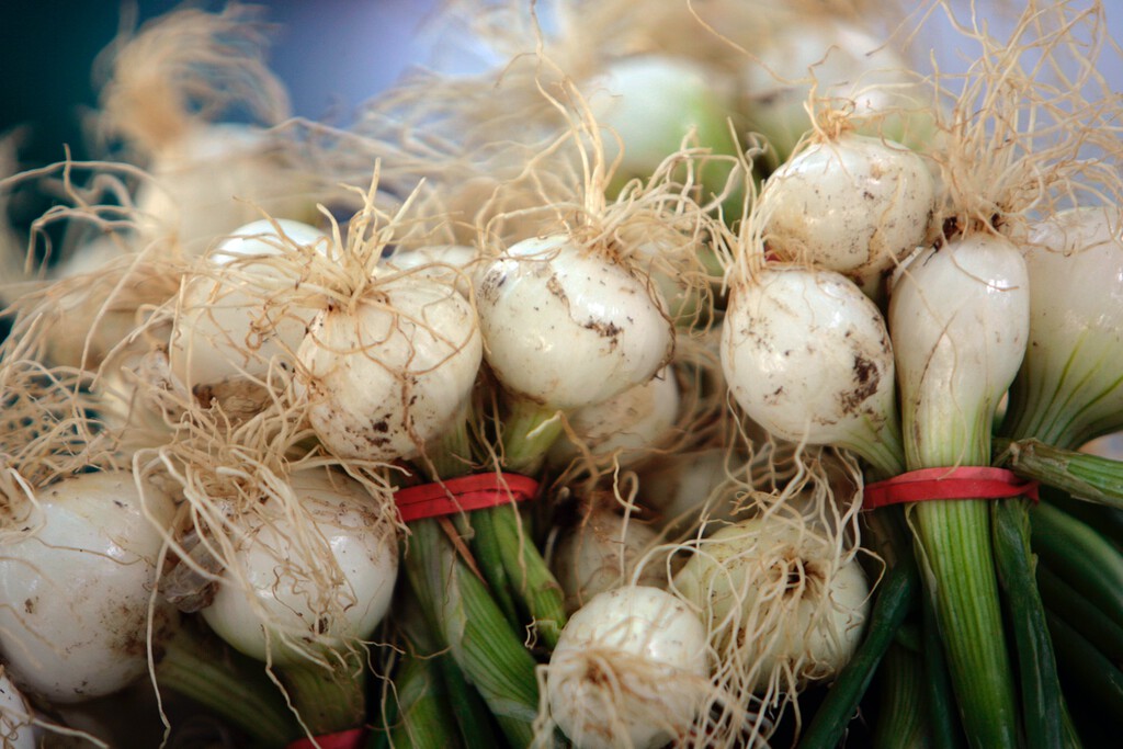Estos son los nutrientes que esconden las frutas y verduras según su color