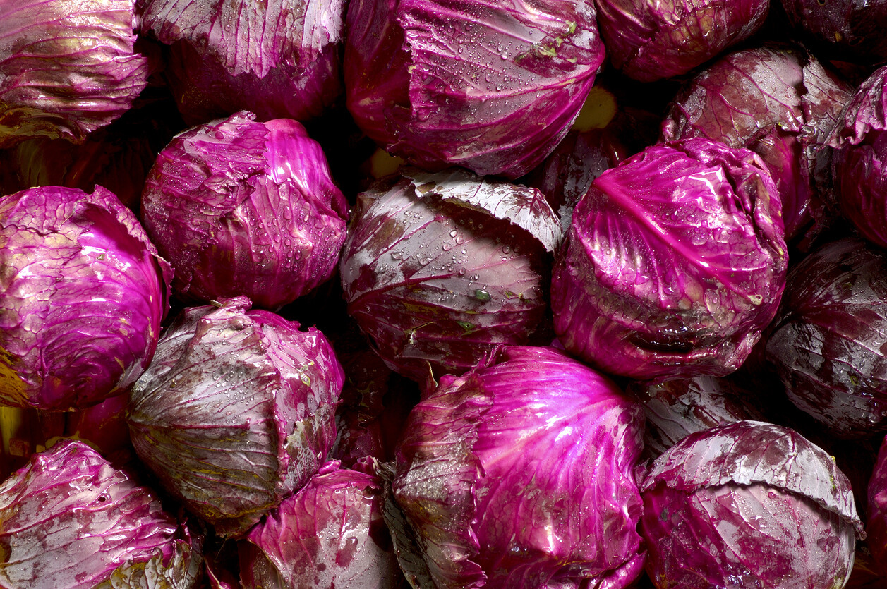 La lombarda, la colorida col morada para disfrutar de temporada (y más ...
