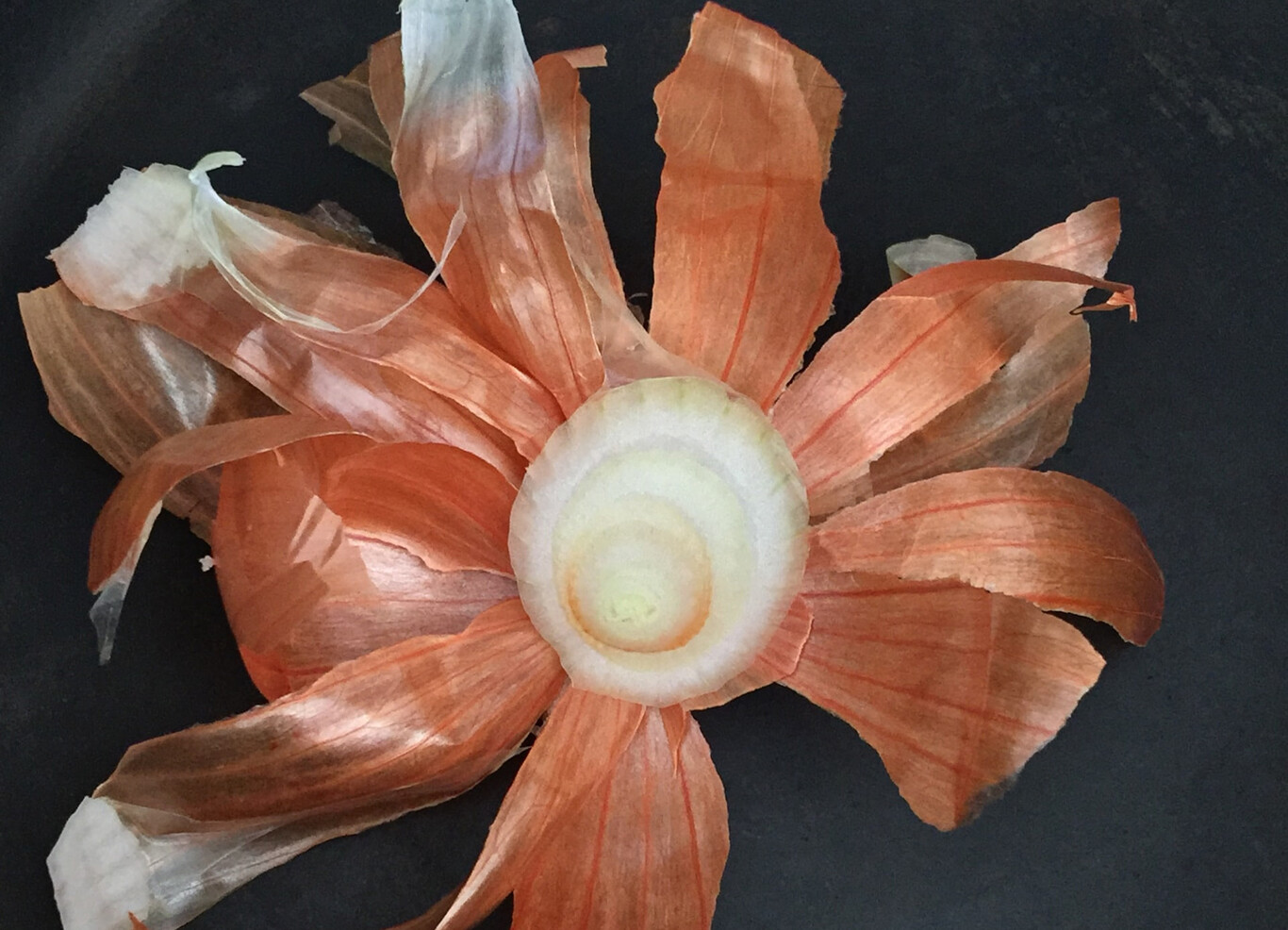 Esta es la mejor forma de pelar una cebolla fácilmente: truco de cocina ...