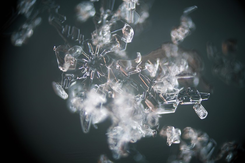 La halicina se convierte el primer antibiótico contra las ...